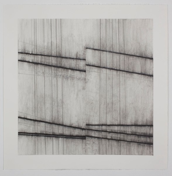 Bach Drawings – fiona robinson