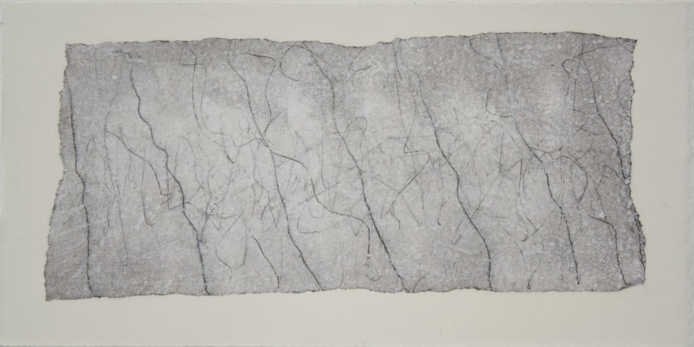 fiona robinson